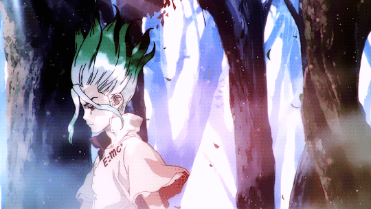 Drstone